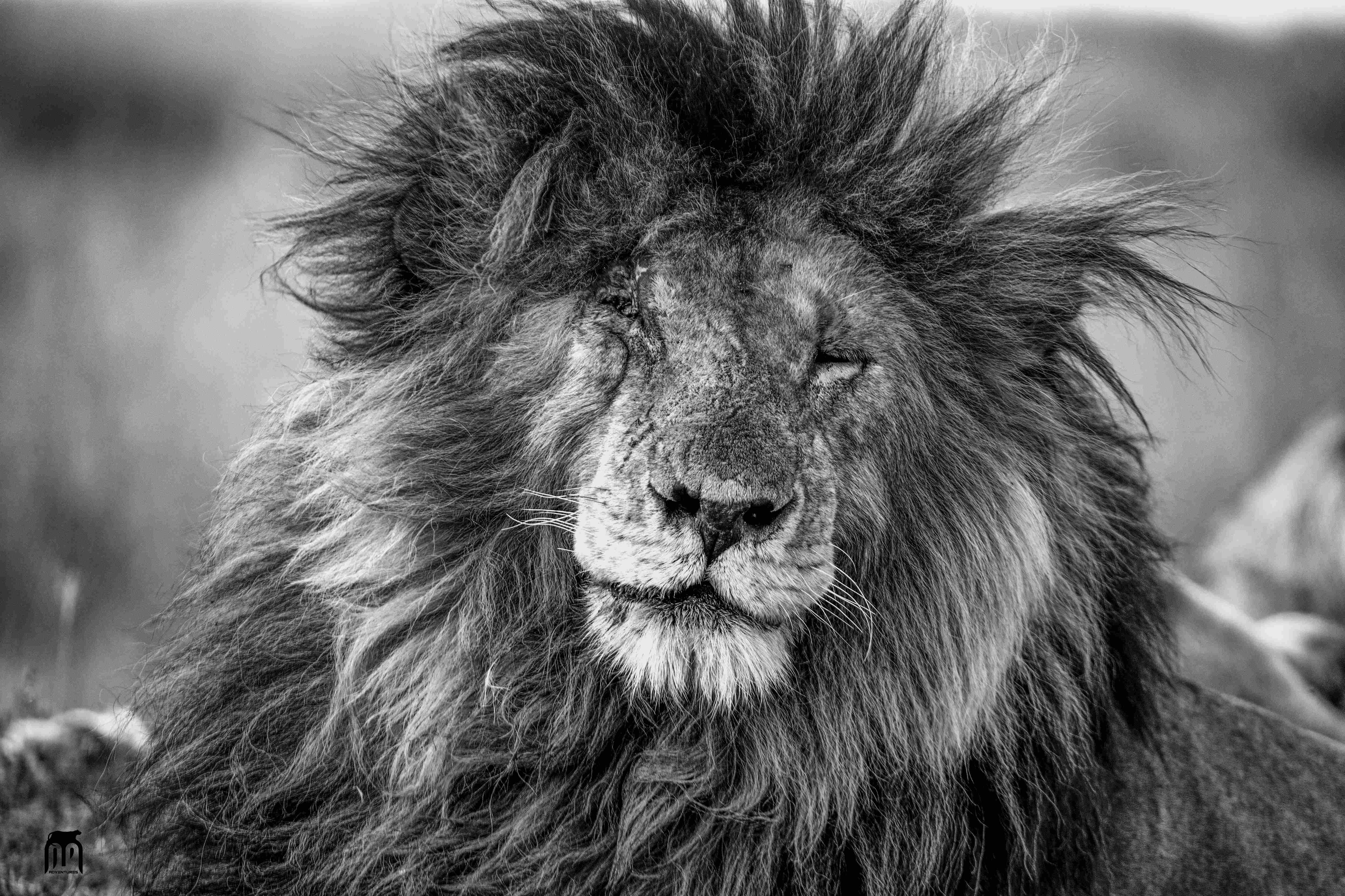 Explore | Munezero Wildlife